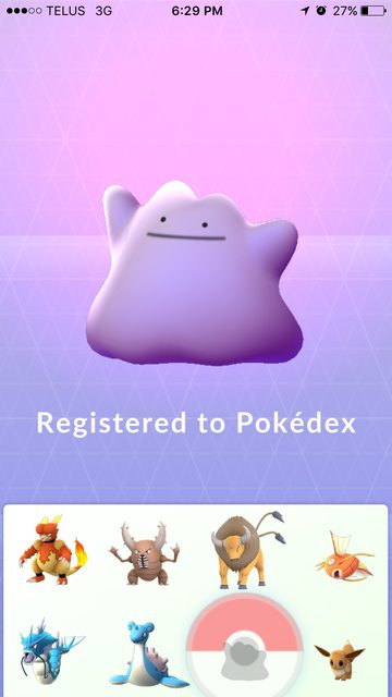 A Bountiful Thanksgiving Event: Double Stardust/XP, Ditto, New Tracker ...