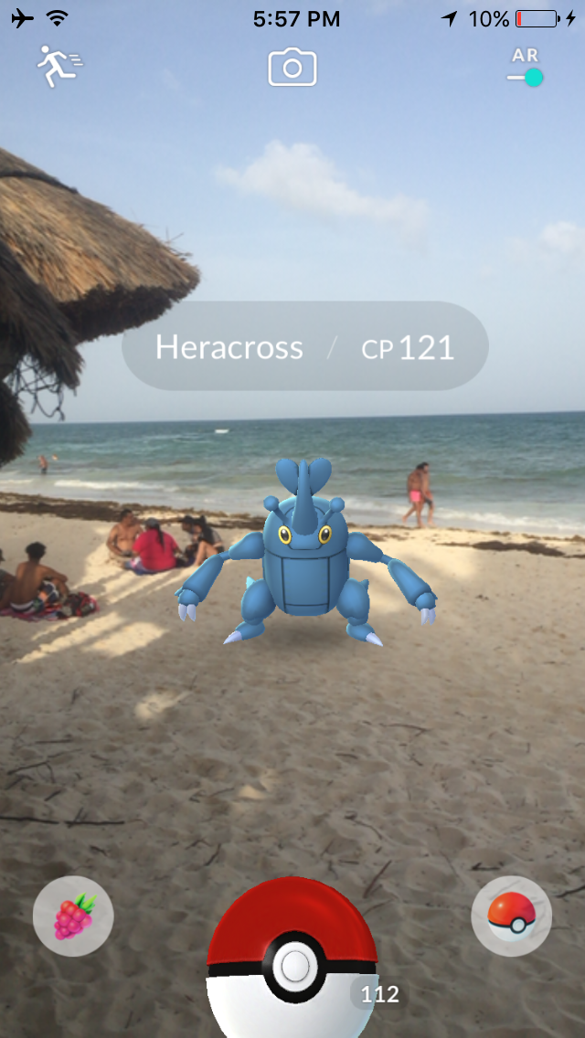 Just arrived in Playa del Carmen... | Pokemon GO Wiki - GamePress