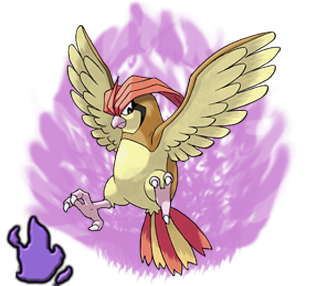 Shadow Pidgeotto | Pokemon GO Wiki - GamePress